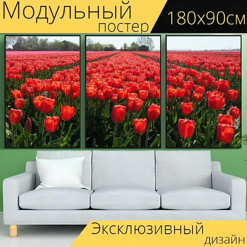 Модульный постер "Тюльпаны, поле тюльпанов, красный" 180 x 90 см. для интерьера