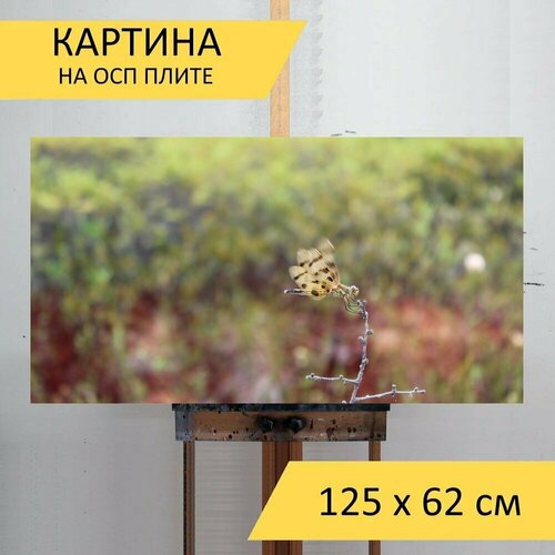 Картина на ОСП 125х62 см. "Стрекоза, болото, природа" горизонтальная, для интерьера, с креплениями