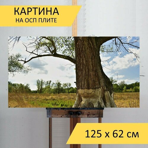 Картина на ОСП 125х62 см. "Дерево, повреждение дерева, корм для бобра" горизонтальная, для интерьера, с креплениями