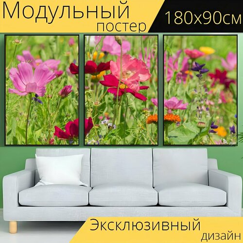 Модульный постер "Цветок, луг, цветочный луг" 180 x 90 см. для интерьера