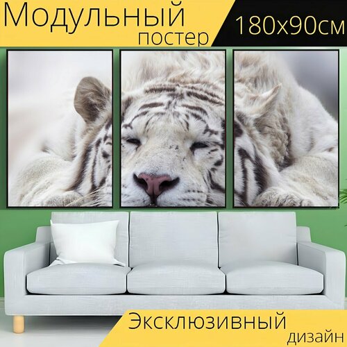 Модульный постер "Тигр, белый, животное" 180 x 90 см. для интерьера