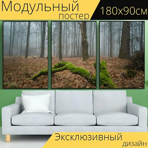 Модульный постер "Лес, мох, природа" 180 x 90 см. для интерьера