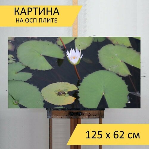 Картина на ОСП 125х62 см. "Вода, цветок, природа" горизонтальная, для интерьера, с креплениями