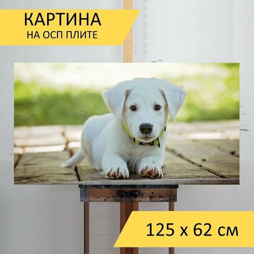 Картина на ОСП 125х62 см. "Щенок, собака, домашний питомец" горизонтальная, для интерьера, с креплениями