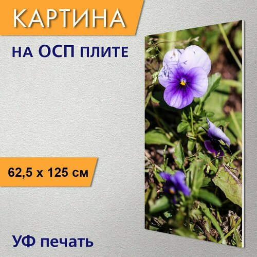 Вертикальная картина на ОСП "Анютины глазки, летний цветок, природа" 62x125 см. для интерьериа