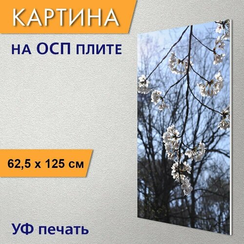 Вертикальная картина на ОСП "Вишня в цвету, весна, вишни в цвету" 62x125 см. для интерьериа