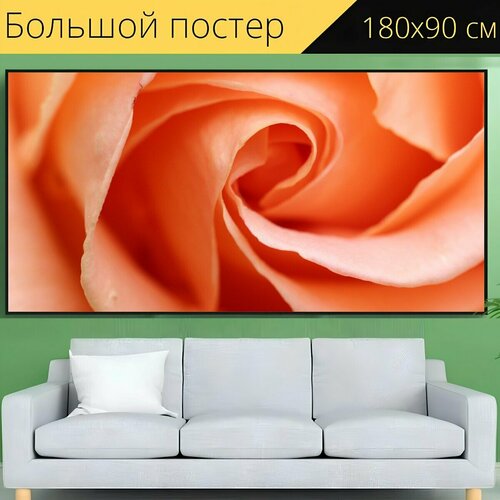 Большой постер "Роза, цветок, лепесток" 180 x 90 см. для интерьера