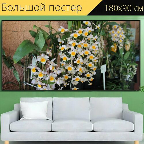 Большой постер "Орхидея, цветы, сад" 180 x 90 см. для интерьера