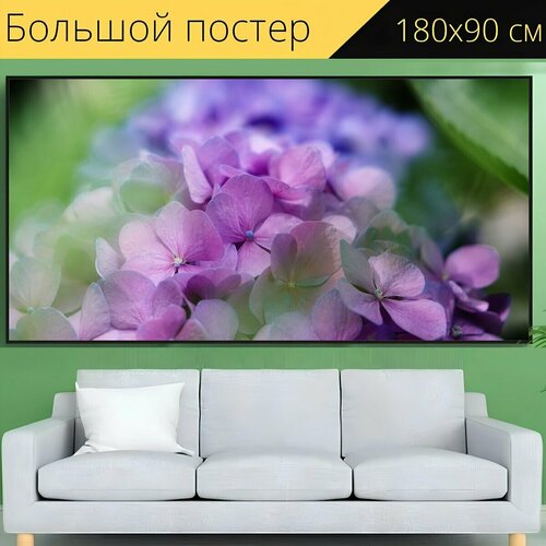 Большой постер "Гортензии, цветы, фиолетовые цветы" 180 x 90 см. для интерьера