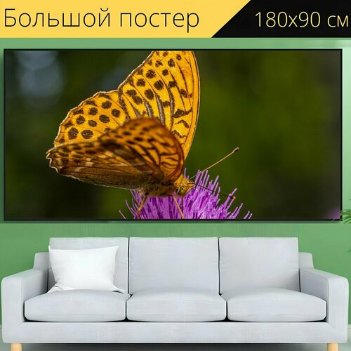 Большой постер "Опыление, бабочка, цветок" 180 x 90 см. для интерьера