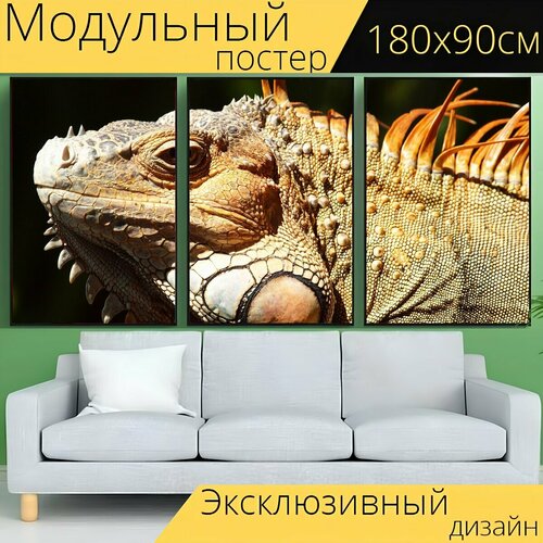 Модульный постер "Игуана, коста рика, рептилия" 180 x 90 см. для интерьера