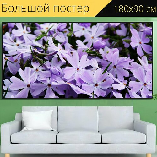 Большой постер "Цветок, фиолетовый, природа" 180 x 90 см. для интерьера