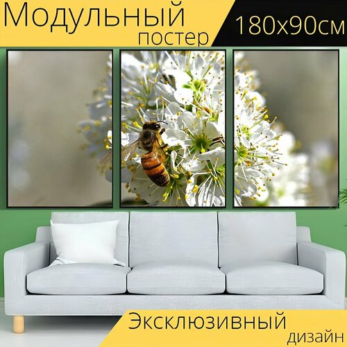 Модульный постер "Природа, весна, пчела" 180 x 90 см. для интерьера