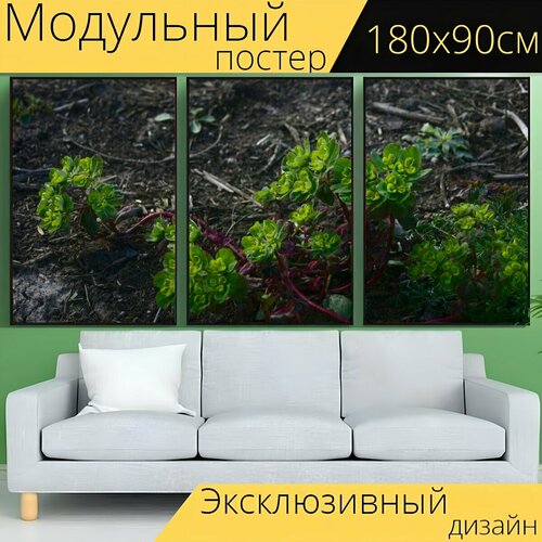 Модульный постер "Природа, зеленый, лес" 180 x 90 см. для интерьера
