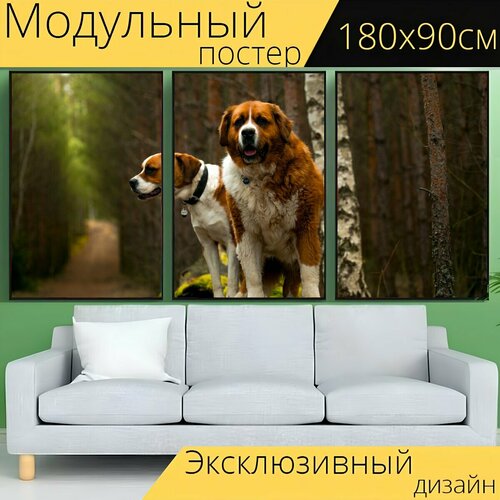 Модульный постер "Собака, природа, сенбернар" 180 x 90 см. для интерьера