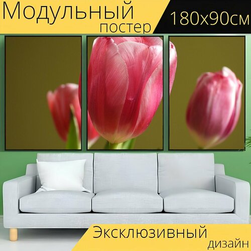 Модульный постер "Тюльпаны, розовый тюльпан, цветок" 180 x 90 см. для интерьера