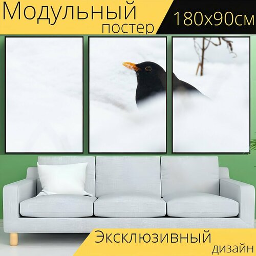 Модульный постер "Черный дрозд, птица, снег" 180 x 90 см. для интерьера