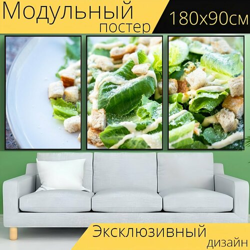 Модульный постер "Салат, здоровый, еда" 180 x 90 см. для интерьера