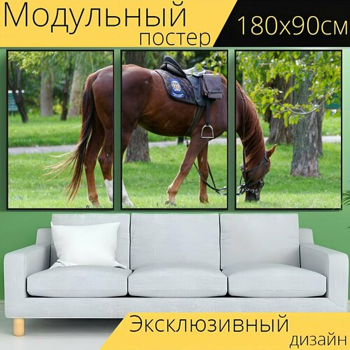 Модульный постер "Лошадь, коричневый, полиция" 180 x 90 см. для интерьера