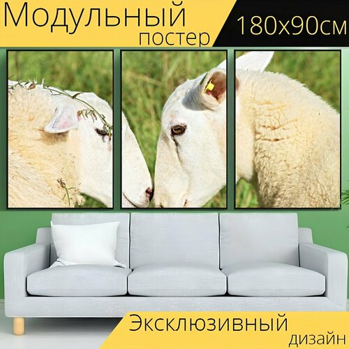 Модульный постер "Овец, две овцы, любовь" 180 x 90 см. для интерьера