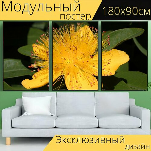 Модульный постер "Цвести, желтый, цветок" 180 x 90 см. для интерьера