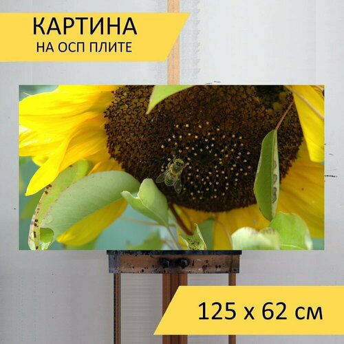 Картина на ОСП 125х62 см. "Подсолнечник, пчела, цветок" горизонтальная, для интерьера, с креплениями
