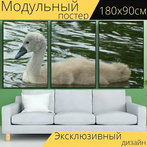 Модульный постер "Лебедь, кувшины, природа" 180 x 90 см. для интерьера