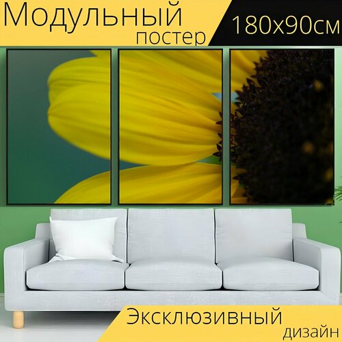Модульный постер "Подсолнечник, макросъемка, желтый цветок" 180 x 90 см. для интерьера