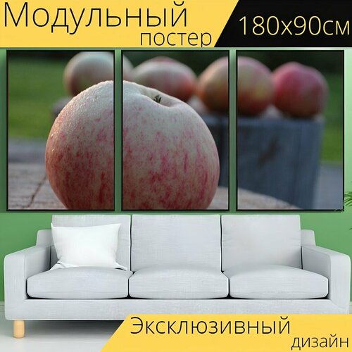 Модульный постер "Яблоко, праздник, яблочный спас" 180 x 90 см. для интерьера