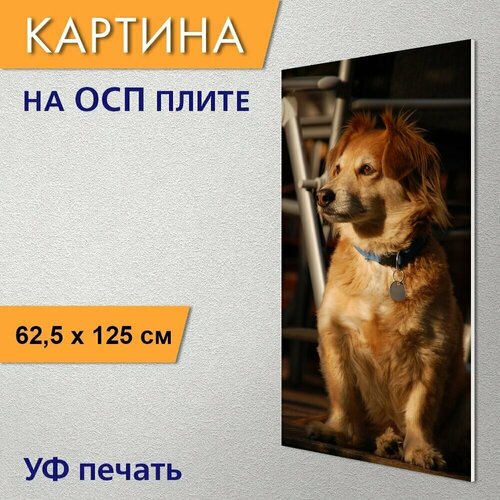 Вертикальная картина на ОСП "Собака, животные, милый" 62x125 см. для интерьериа