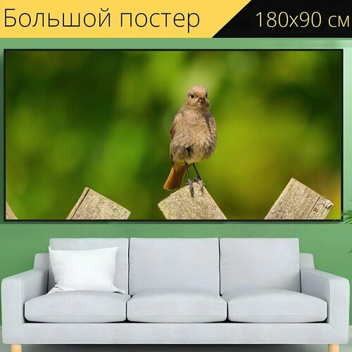 Большой постер "Воробей, сперлинг, сад птиц" 180 x 90 см. для интерьера