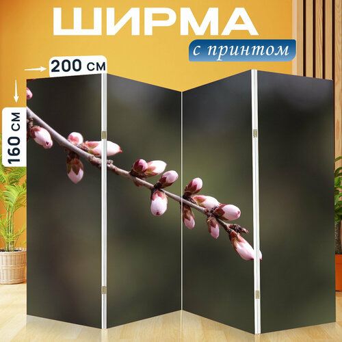 Ширма перегородка с принтом "Персиковый цветок, бутоны, филиал" на холсте - 200x160 см. для зонирования, раскладная