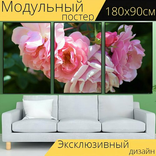 Модульный постер "Розы, цветение, розовый" 180 x 90 см. для интерьера