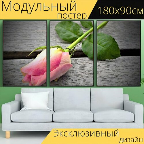 Модульный постер "Роза, цветок, благородная роза" 180 x 90 см. для интерьера