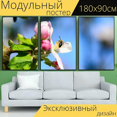 Модульный постер "Пчела, оса, цветок" 180 x 90 см. для интерьера