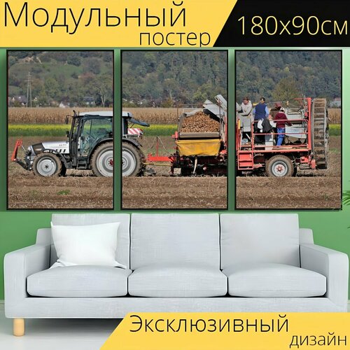 Модульный постер "Трактор, картошка, фермерский двор" 180 x 90 см. для интерьера