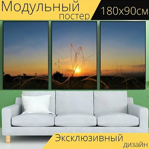 Модульный постер "Заход солнца, травы, дневной свет" 180 x 90 см. для интерьера