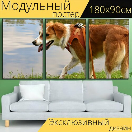 Модульный постер "Собака, домашнее животное, гибридный" 180 x 90 см. для интерьера