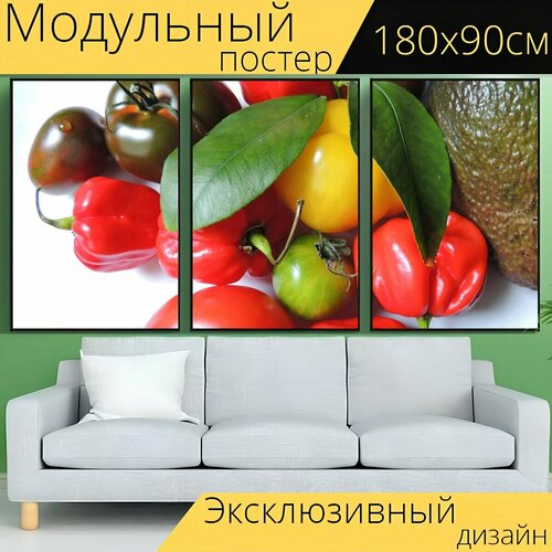 Модульный постер "Овощи, помидоры, здоровый" 180 x 90 см. для интерьера