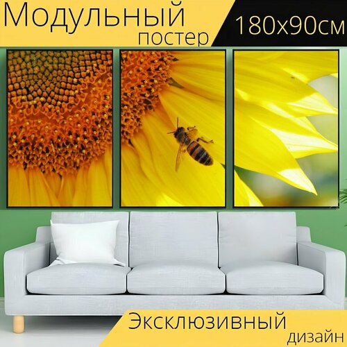 Модульный постер "Подсолнухи, пчела, желтый" 180 x 90 см. для интерьера