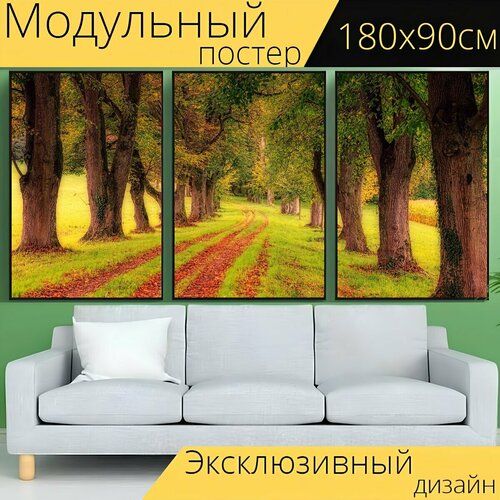 Модульный постер "Обсаженная деревьями тропинка, парк, деревья" 180 x 90 см. для интерьера