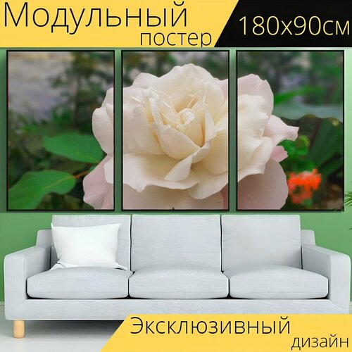 Модульный постер "Белый цветок, цветок, флора" 180 x 90 см. для интерьера