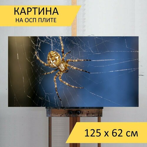 Картина на ОСП 125х62 см. "Паук, европейский садовый паук, диадема паук" горизонтальная, для интерьера, с креплениями
