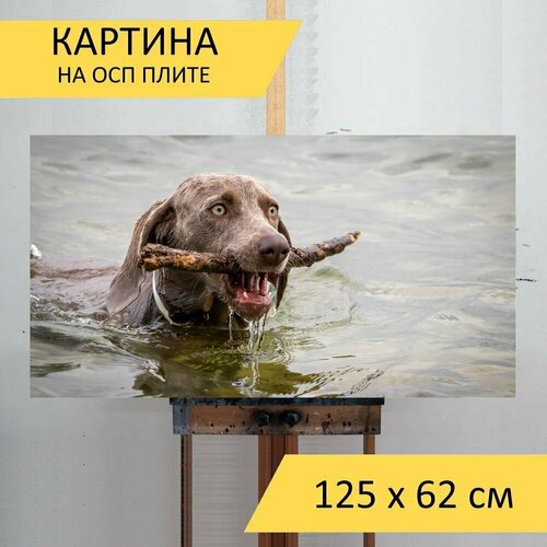 Картина на ОСП 125х62 см. "Собака, вода, плавать" горизонтальная, для интерьера, с креплениями