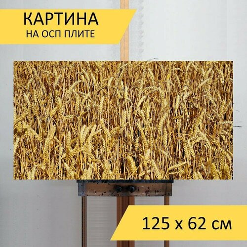 Картина на ОСП 125х62 см. "Кукуруза, поле, сельское хозяйство" горизонтальная, для интерьера, с креплениями