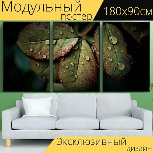 Модульный постер "Дождливая погода, листья, вода" 180 x 90 см. для интерьера