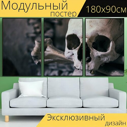 Модульный постер "Череп, склеп, чешская республика" 180 x 90 см. для интерьера
