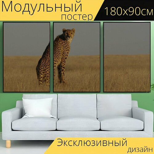 Модульный постер "Гепард, большой кот, дикая кошка" 180 x 90 см. для интерьера