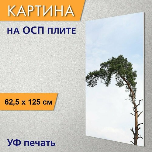 Вертикальная картина на ОСП "Дерево, сосна, ствол" 62x125 см. для интерьериа