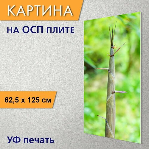 Вертикальная картина на ОСП "Золотой бамбук, водил, выезжать" 62x125 см. для интерьериа
